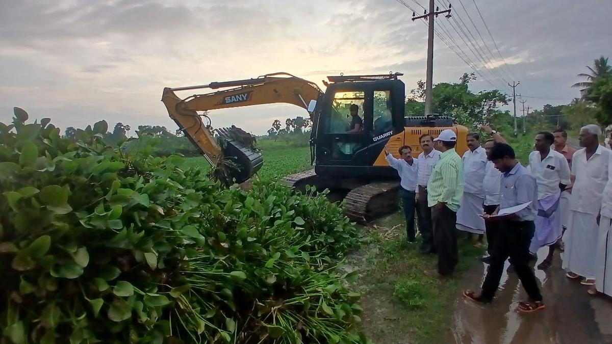Water hyacinth removal intensified across Cauvery Delta, says WRD ...