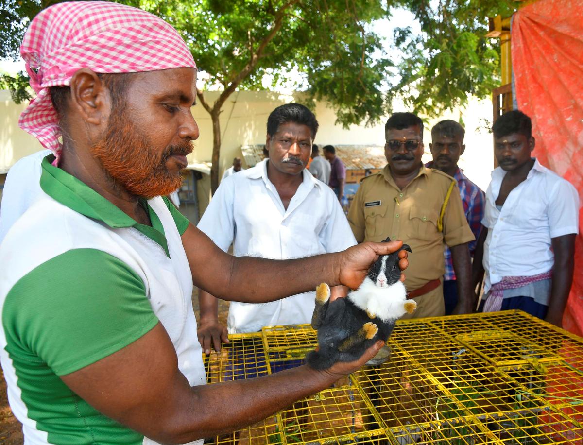 In pictures | Inmates of Kalapet Central Prison raise the bar for ...