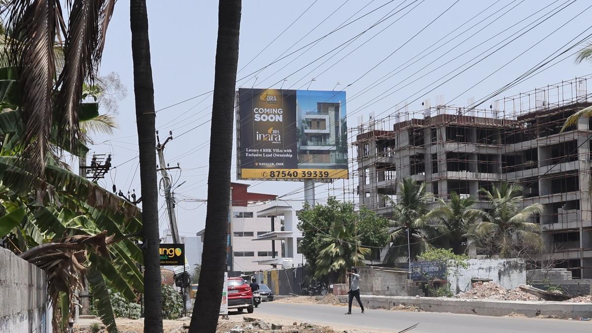 SWD work on Thalambur Main Road skirts around two palm trees - The Hindu