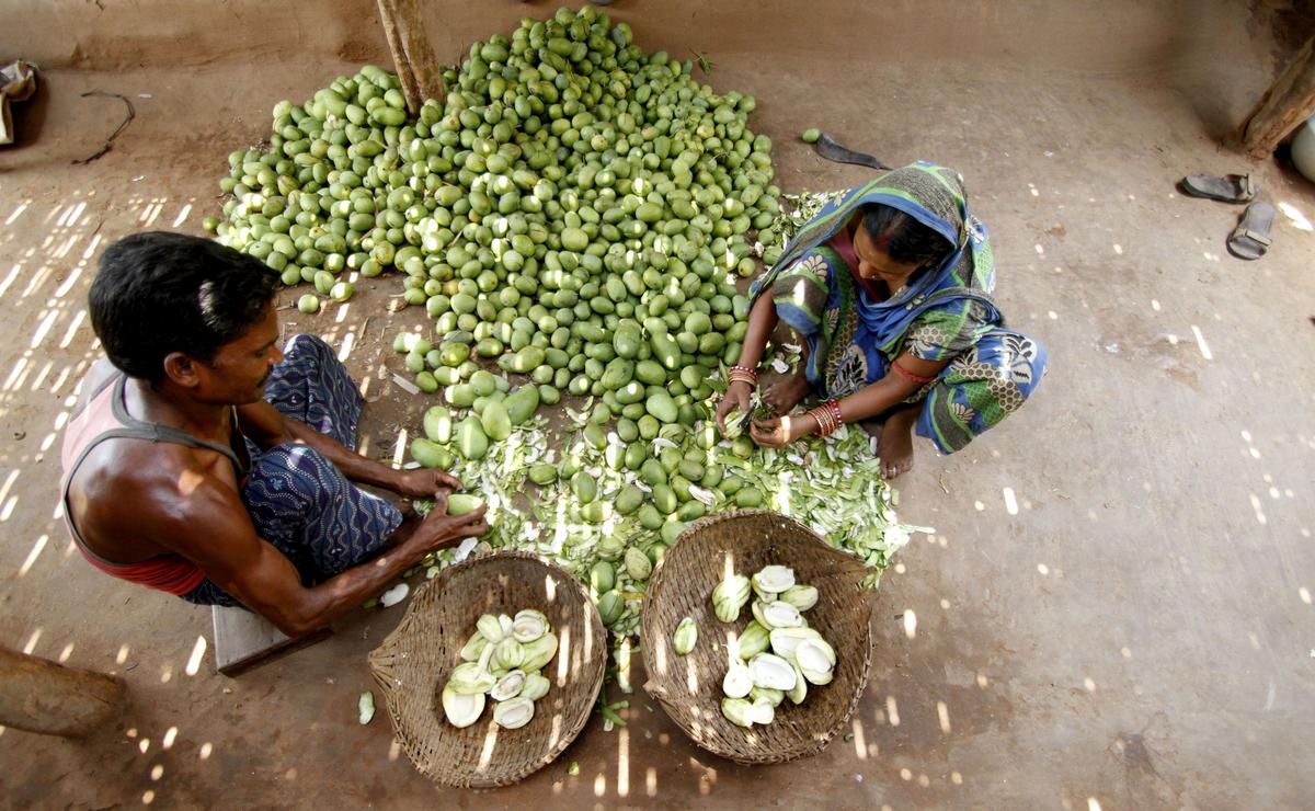 Summers are a reminder of Amma’s pickles - The Hindu