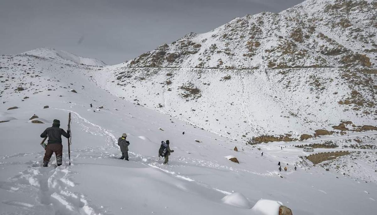 Gaami movie: Decoding the visual aesthetics with Vishwanath Reddy ...