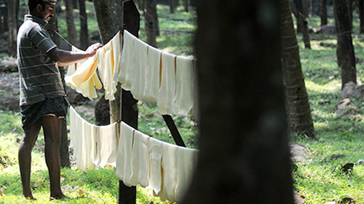 Industry seeks removal of import duty on natural rubber The Hindu