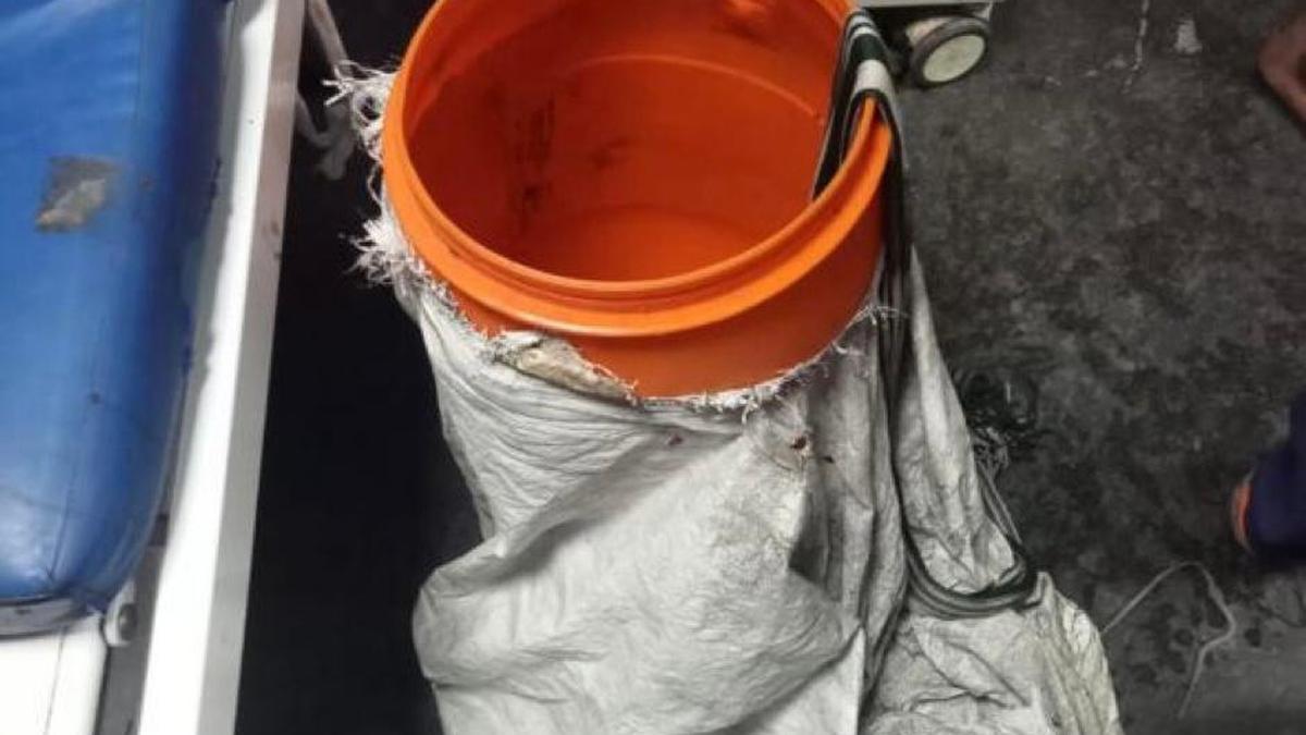 Body of missing boy in Hyderabad found in bucket; police refute ‘human ...
