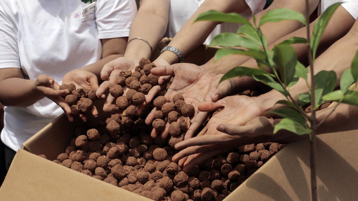 Plan to roll 2.5 crore seed balls this year - The Hindu