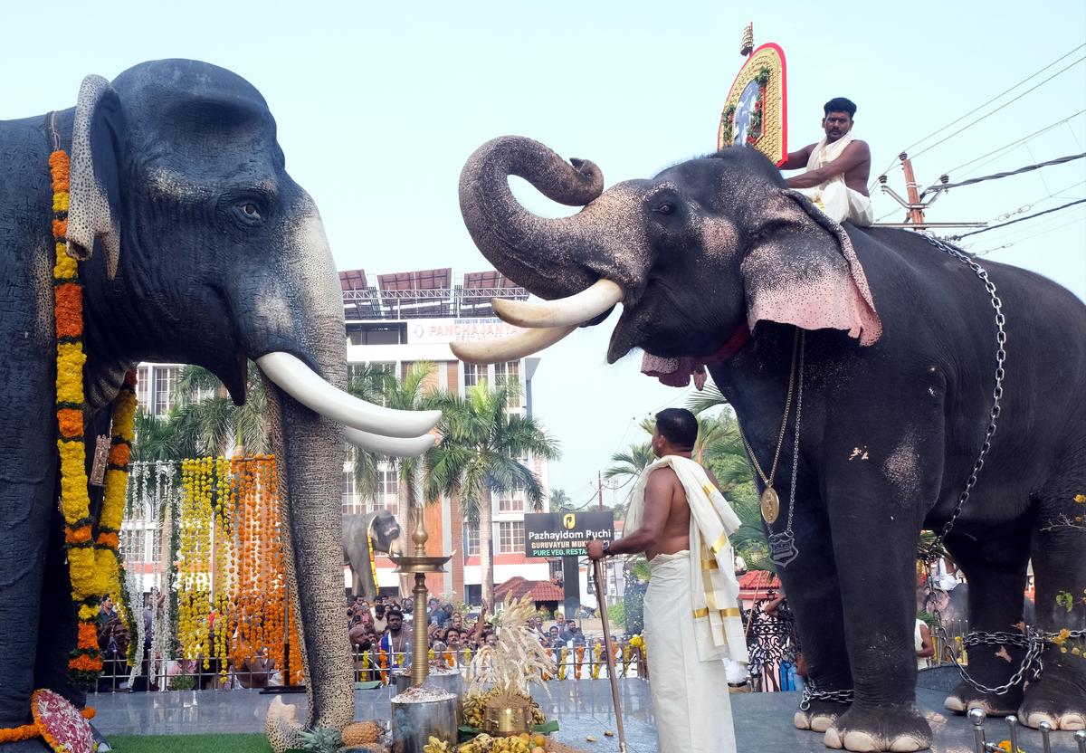 All set for Guruvayur Ekadasi - The Hindu