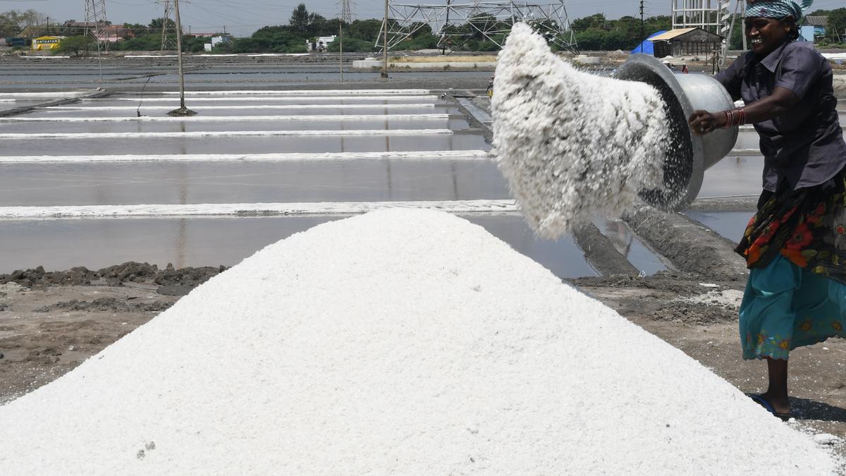 Salt production picks up in Thoothukudi with the arrival of westerly ...