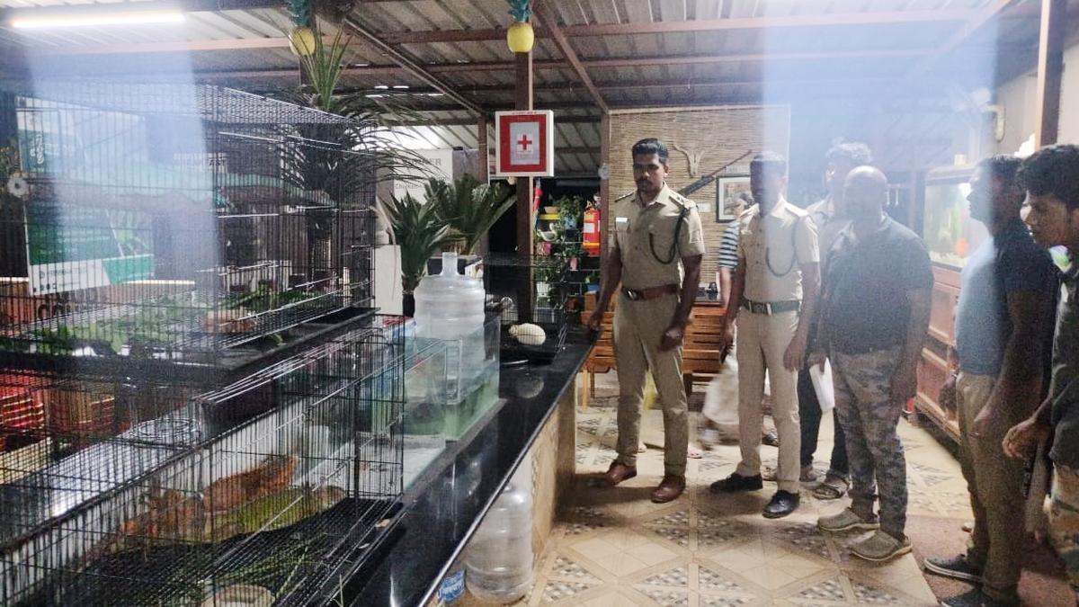 Forest Department bars Pollachi farm house from exhibiting exotic ...