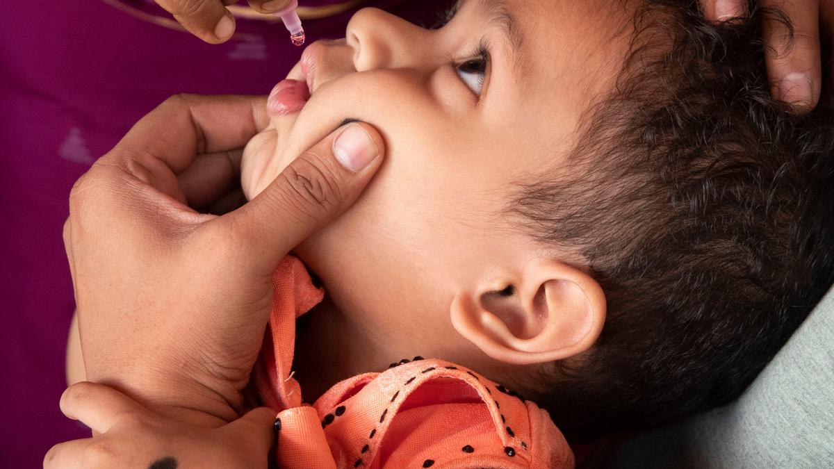 Madurai/PTR launched pulse polio drops campaign in Madurai - The Hindu
