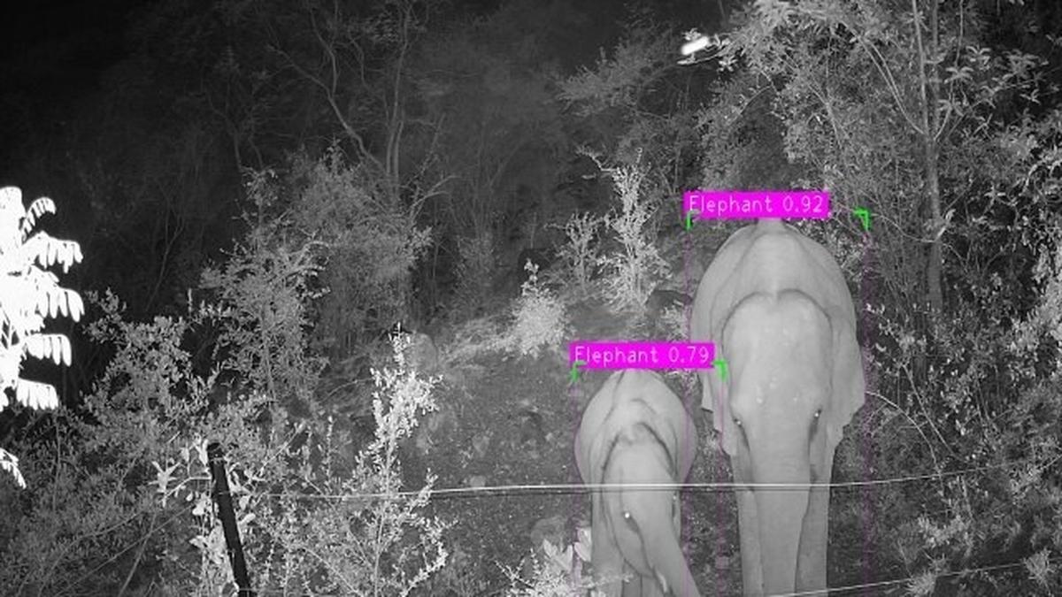 Amrita University develops AI-based elephant monitoring system - The Hindu