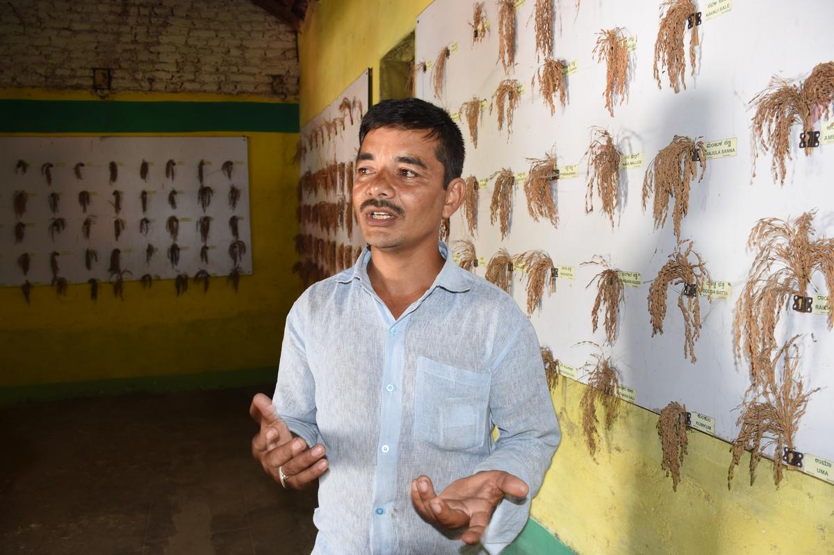 Farmers in Karnataka producing seeds to get freedom from MNCs - The Hindu