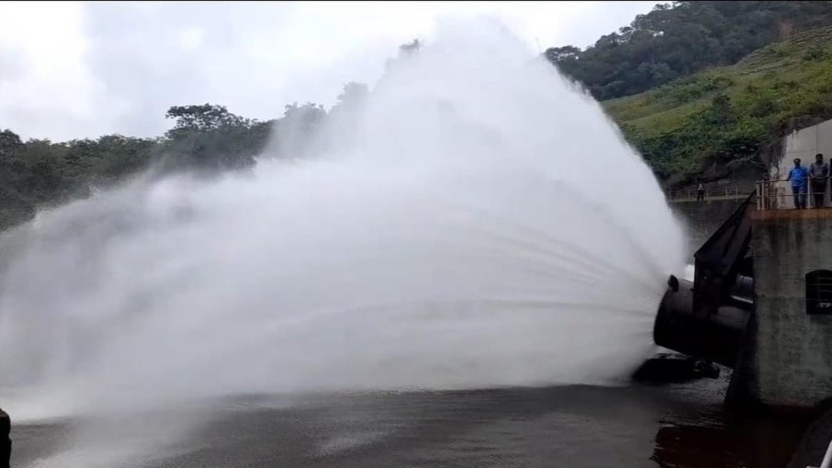 Water released from Papanasam dam for ‘pisanam’ paddy cultivation - The ...