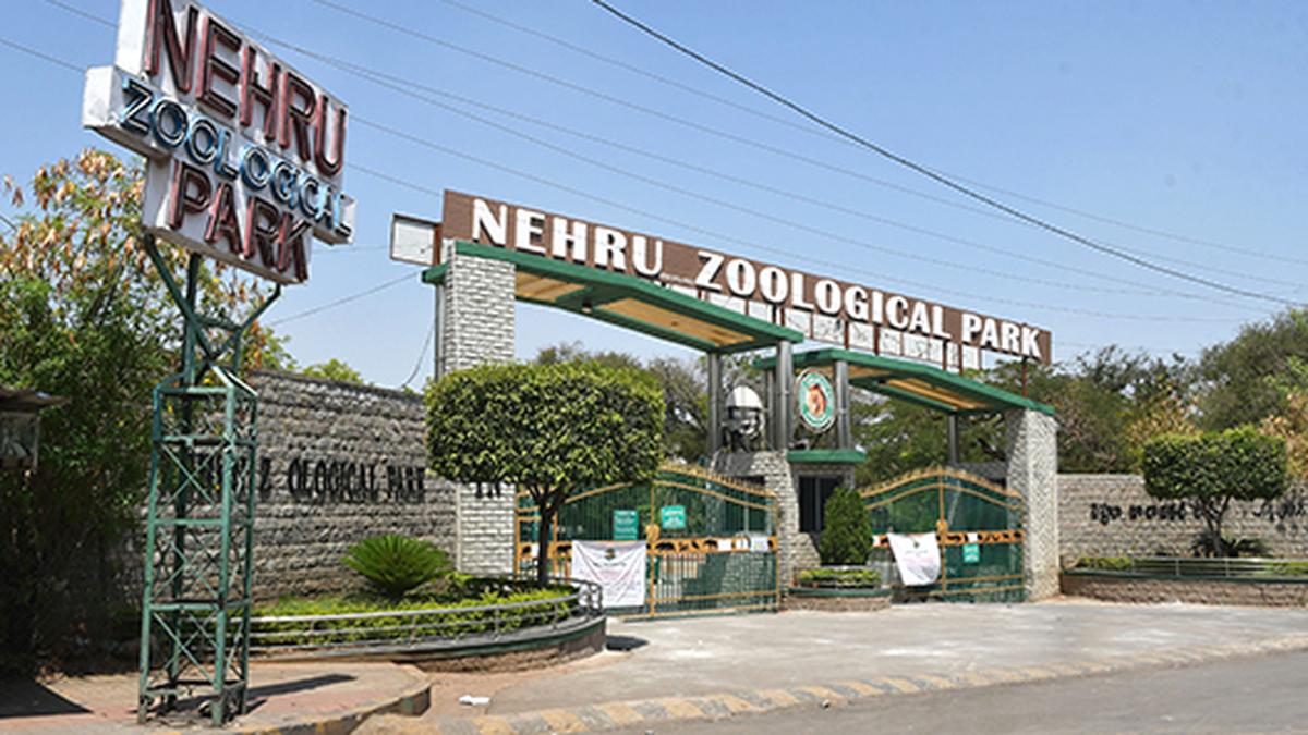 Visit to Nehru Zoological Park to cost more - The Hindu