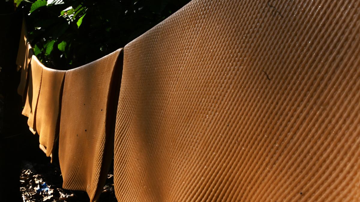 mRube online platform for natural rubber trade gains traction - The Hindu