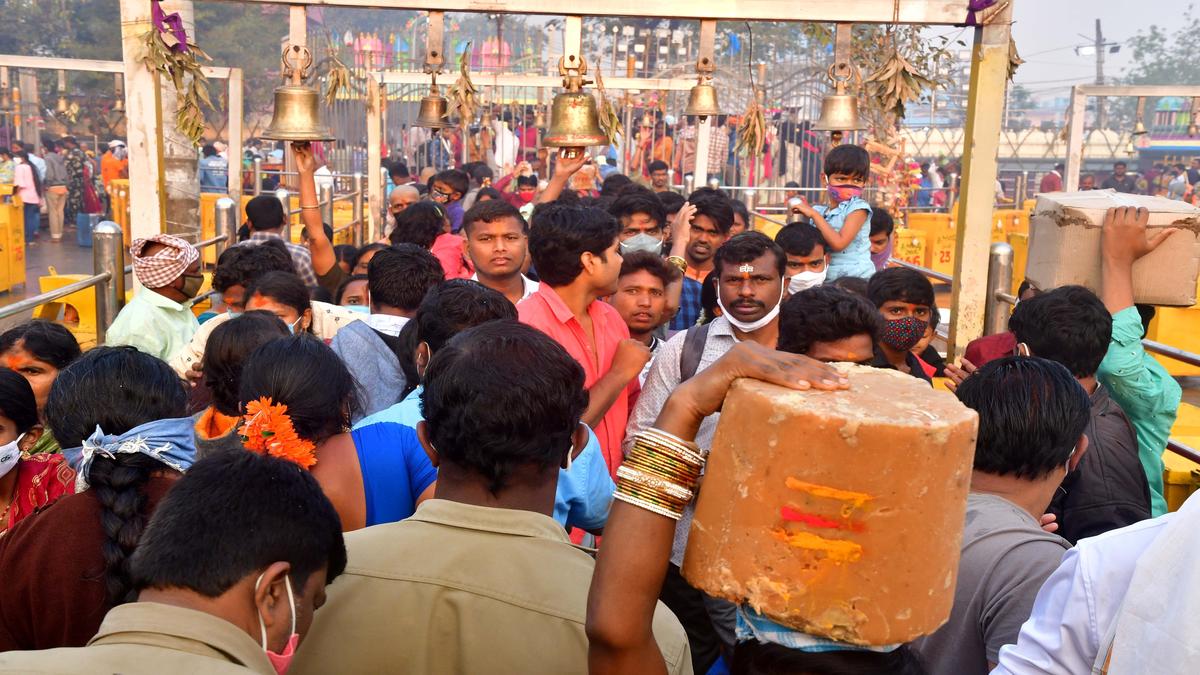 All set for the historic Medaram jathara - The Hindu