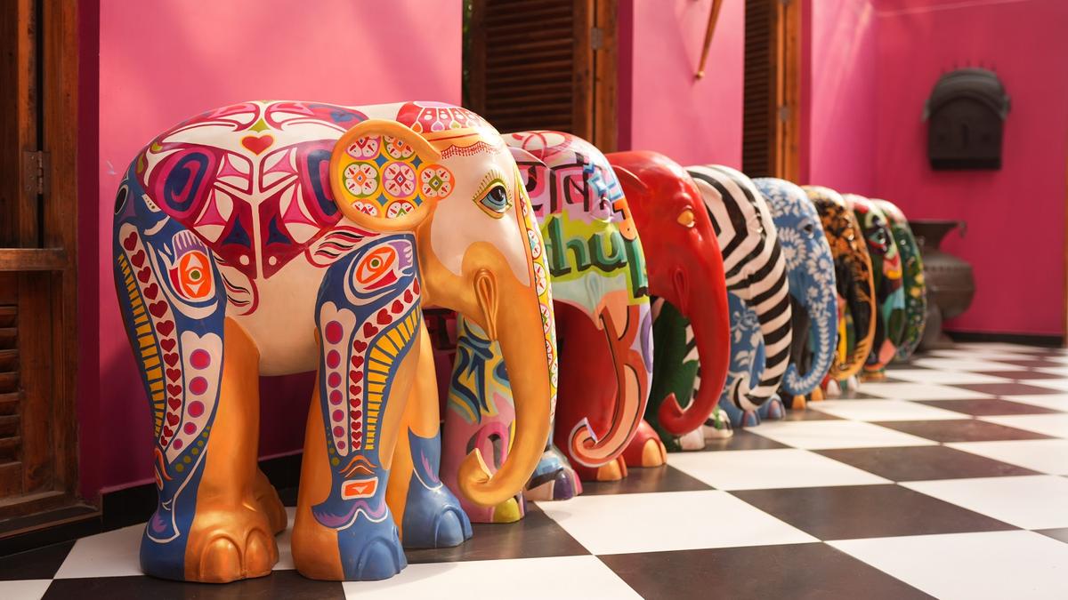 Experience Authentic Indian Cuisine at The Pink Elephant in Hyderabad ...