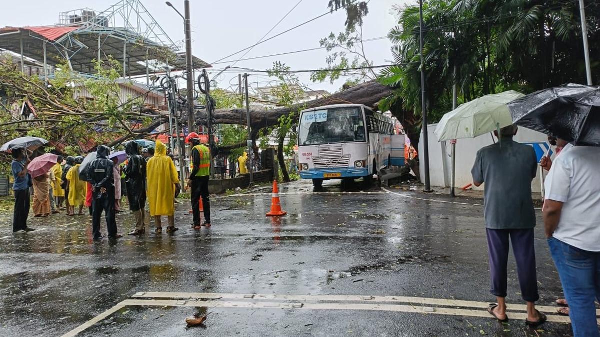 Heavy rain leaves trail of destruction in West Kochi - The Hindu