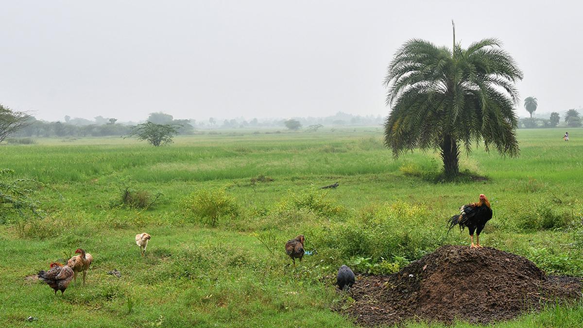 Chennai’s second airport: TIDCO applies to Civil Aviation panel for ...