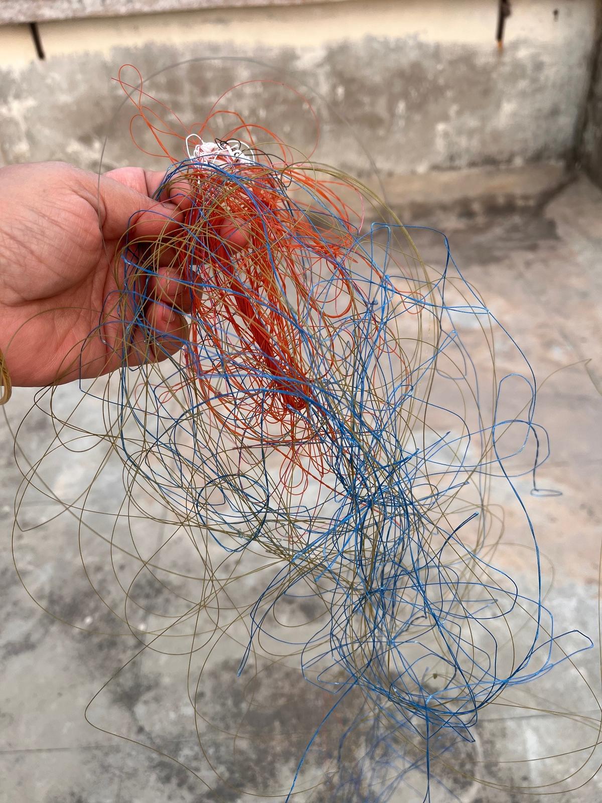 The plastic manja hazards post Sankranti - The Hindu