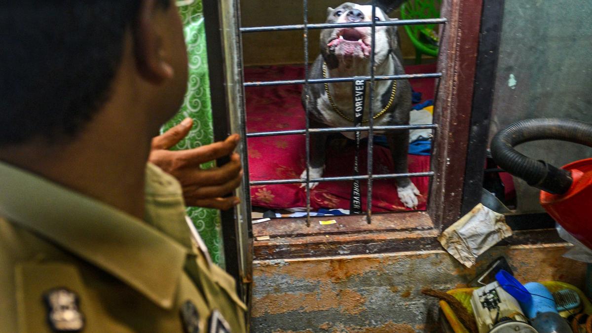 Kerala Police bust drug racket fighting off a spirited ‘canine ...