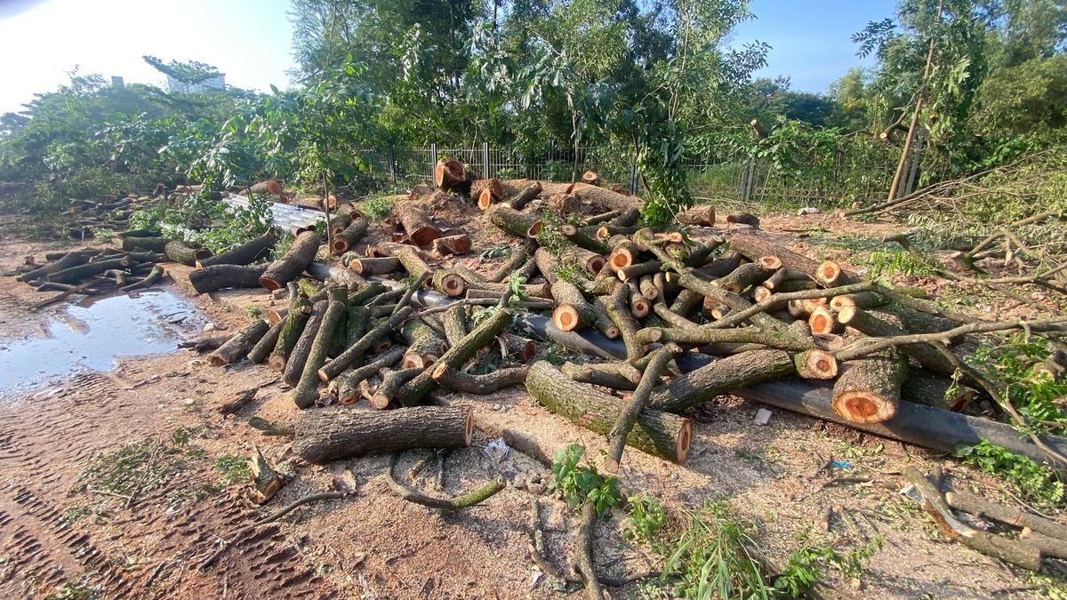 NHAI begins cutting trees for flyover projects at Nanthoor and KPT ...