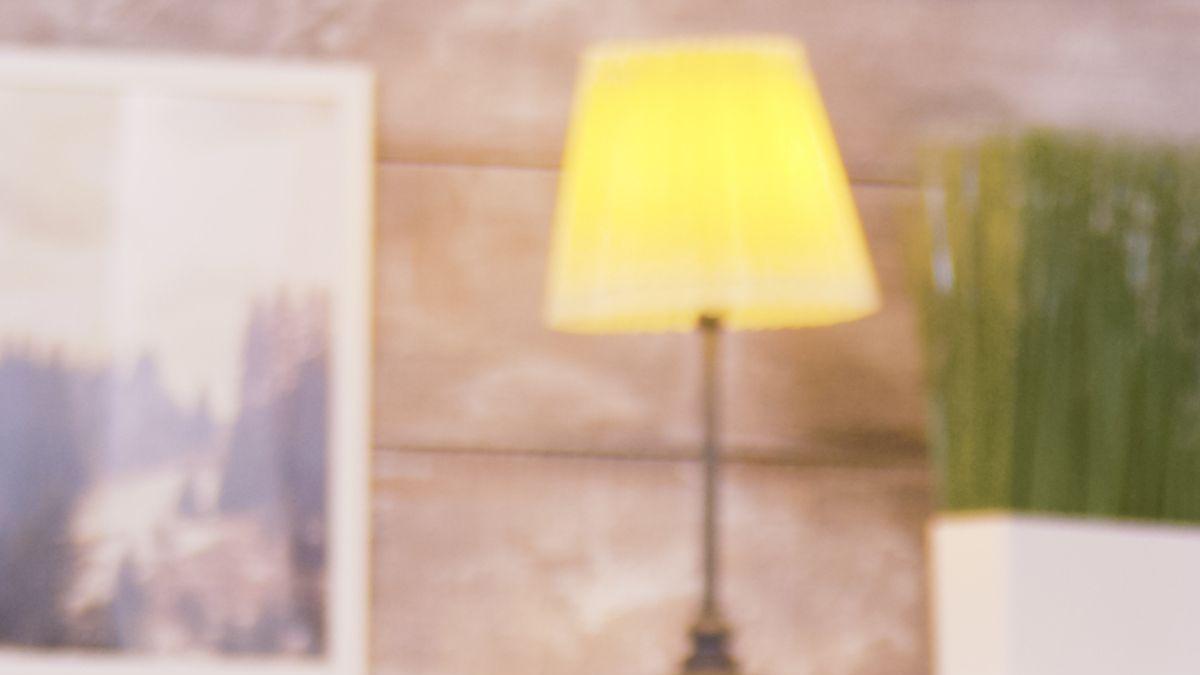 Tips to be a successful animation artist - The Hindu