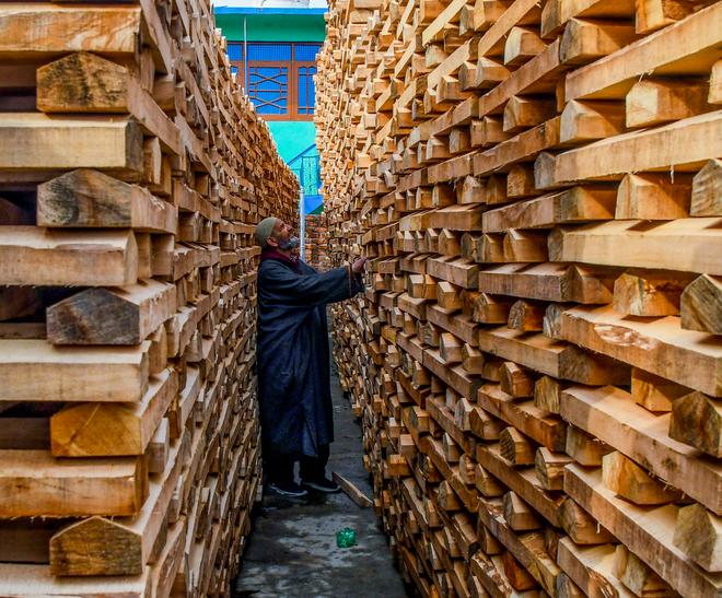 Kashmir bat industry hits its sweet spot after 102 years - The Hindu