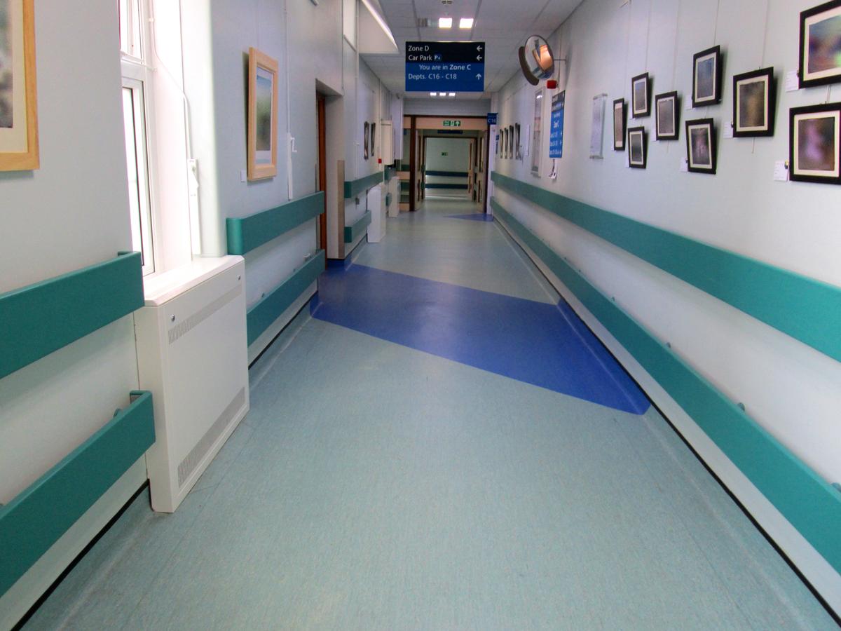 Art in healthcare spaces - The Hindu