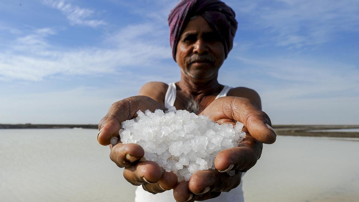 Trial by salt | Review of Anita Agnihotri’s A Touch of Salt, translated ...