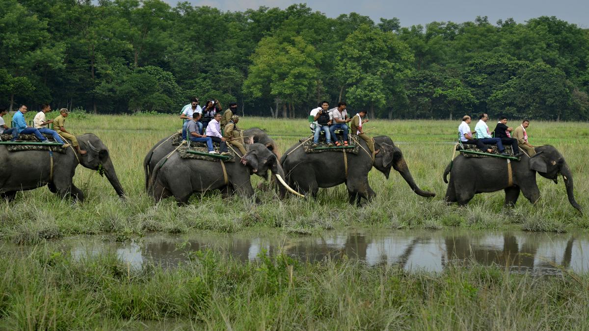 Pitching India as a signature destination - The Hindu