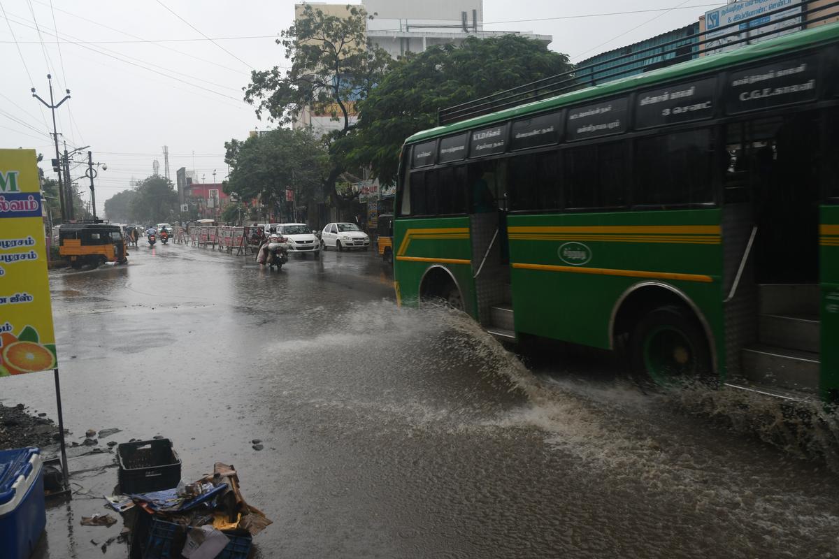 Following widespread rain, Tirunelveli and Thoothukudi Collectors ...
