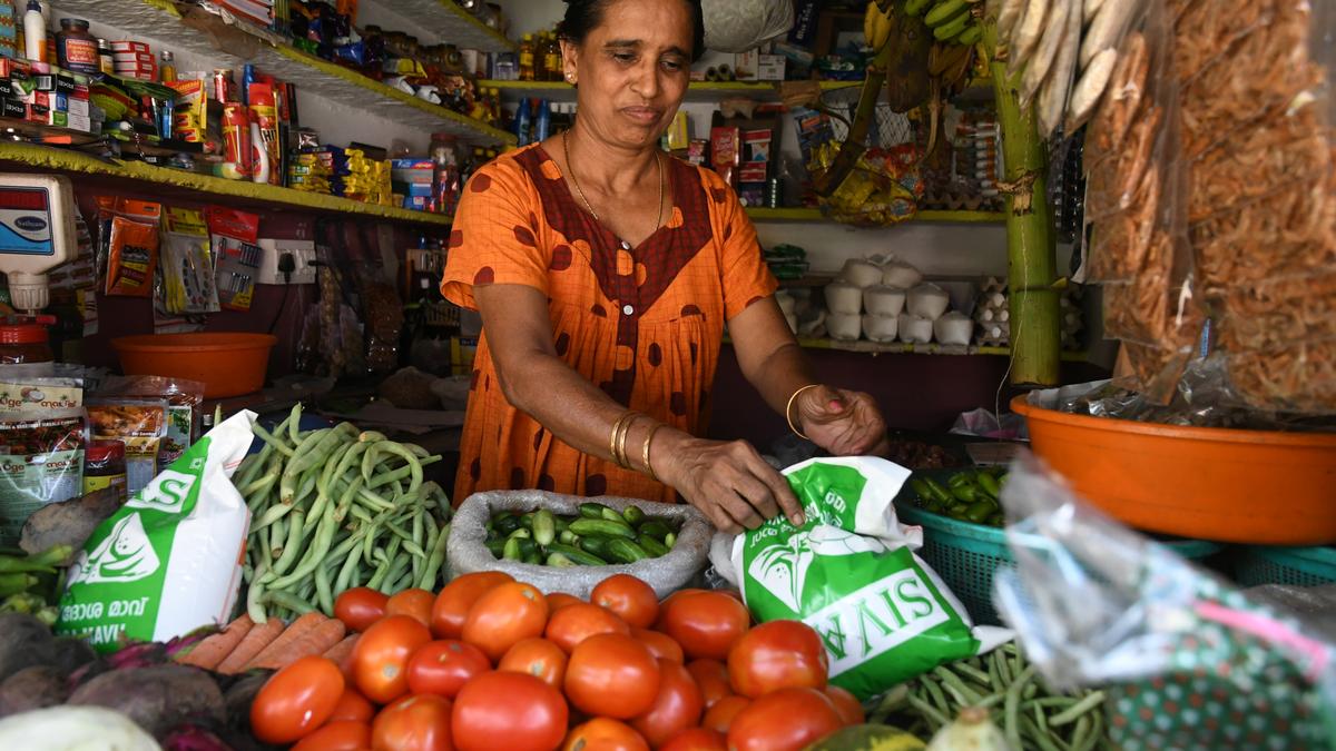 With savings from her provision store, she travels the world - The Hindu
