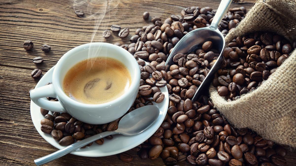 ₹25-crore KERA project to modernise Wayanad coffee sector - The Hindu