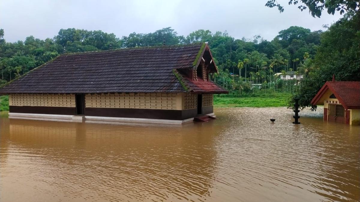 Rain continues to wreak havoc in Wayanad - The Hindu