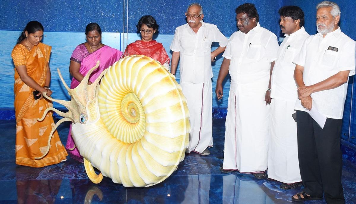 Ammonites centre opens in Perambalur - The Hindu
