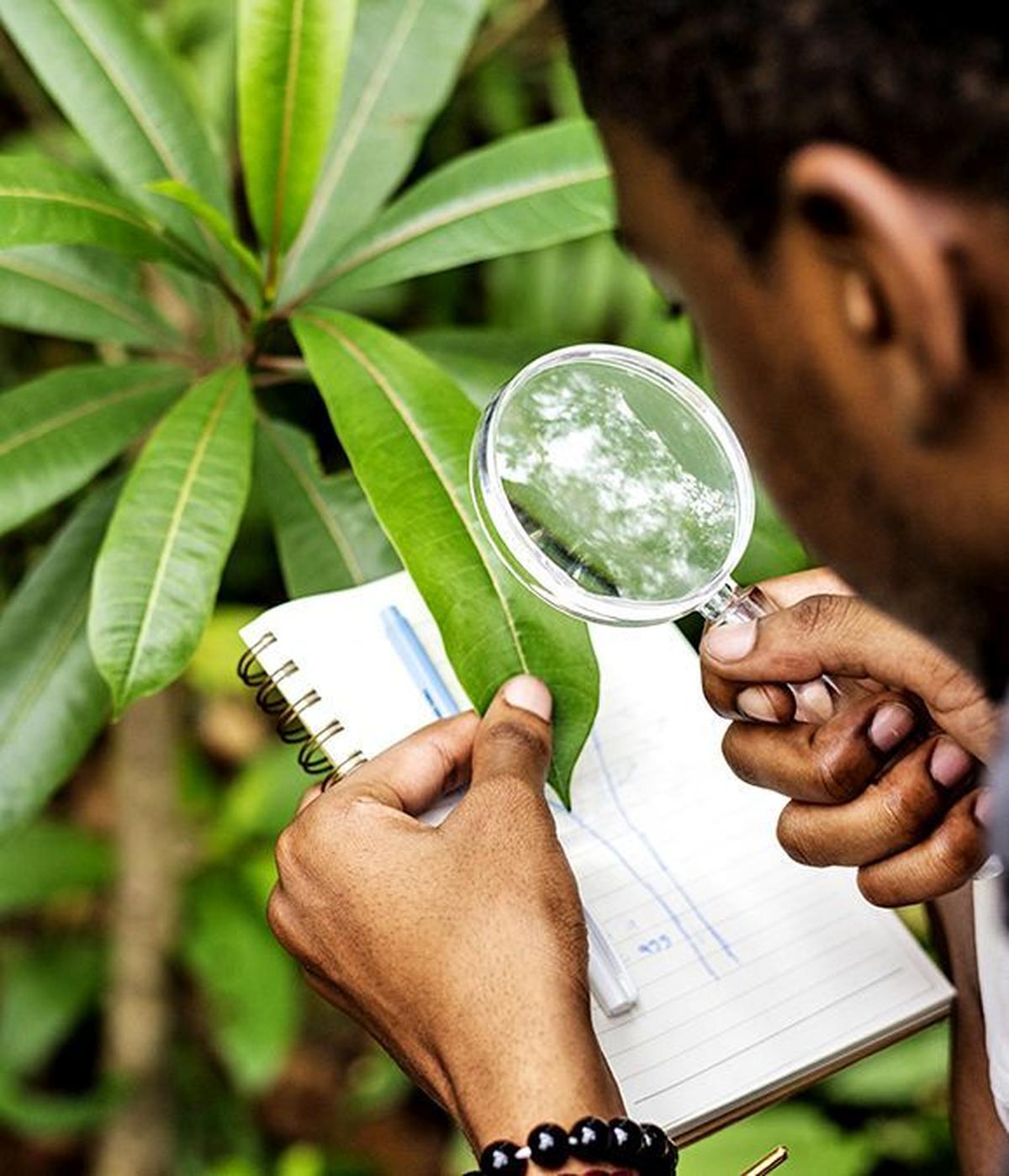 Science Careers Kaleidoscope : Explore and choose your career path ...