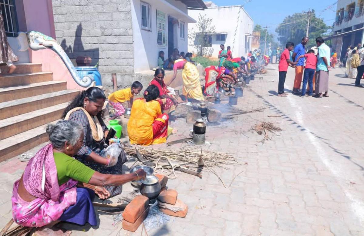 ‘Pennycuick Pongal’ celebrated in Theni district; farmers celebrate ...