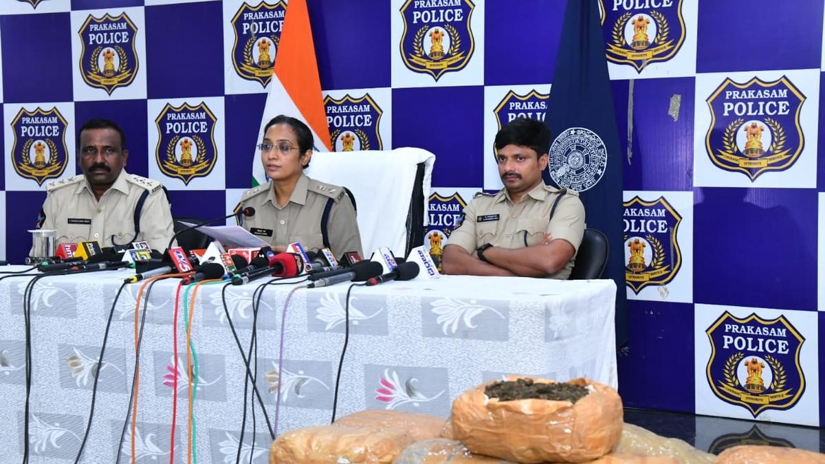 Prakasam police bust ganja racket, arrest seven - The Hindu