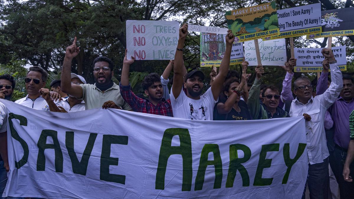 Strictly abide by undertaking that no trees would be cut in Aarey ...