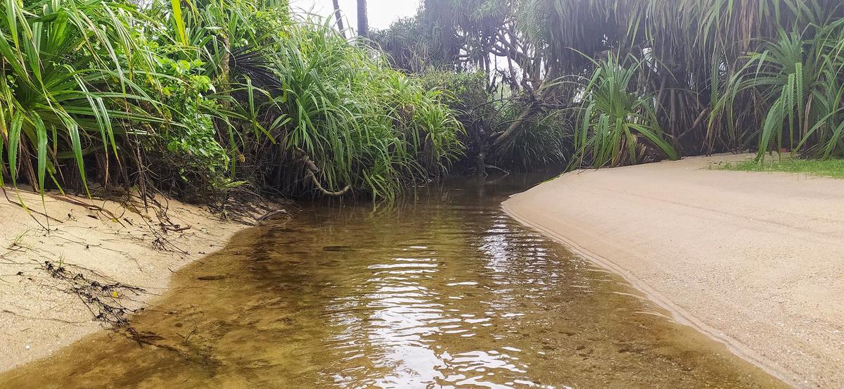 Monsoon brings waves of dread to those living by Karnataka coast - The ...