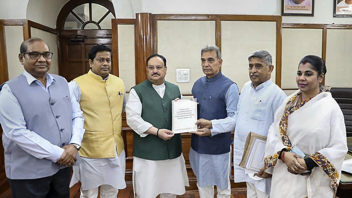 Mamata cries foul over BJP’s fact-finding report on Birbhum violence - The Hindu