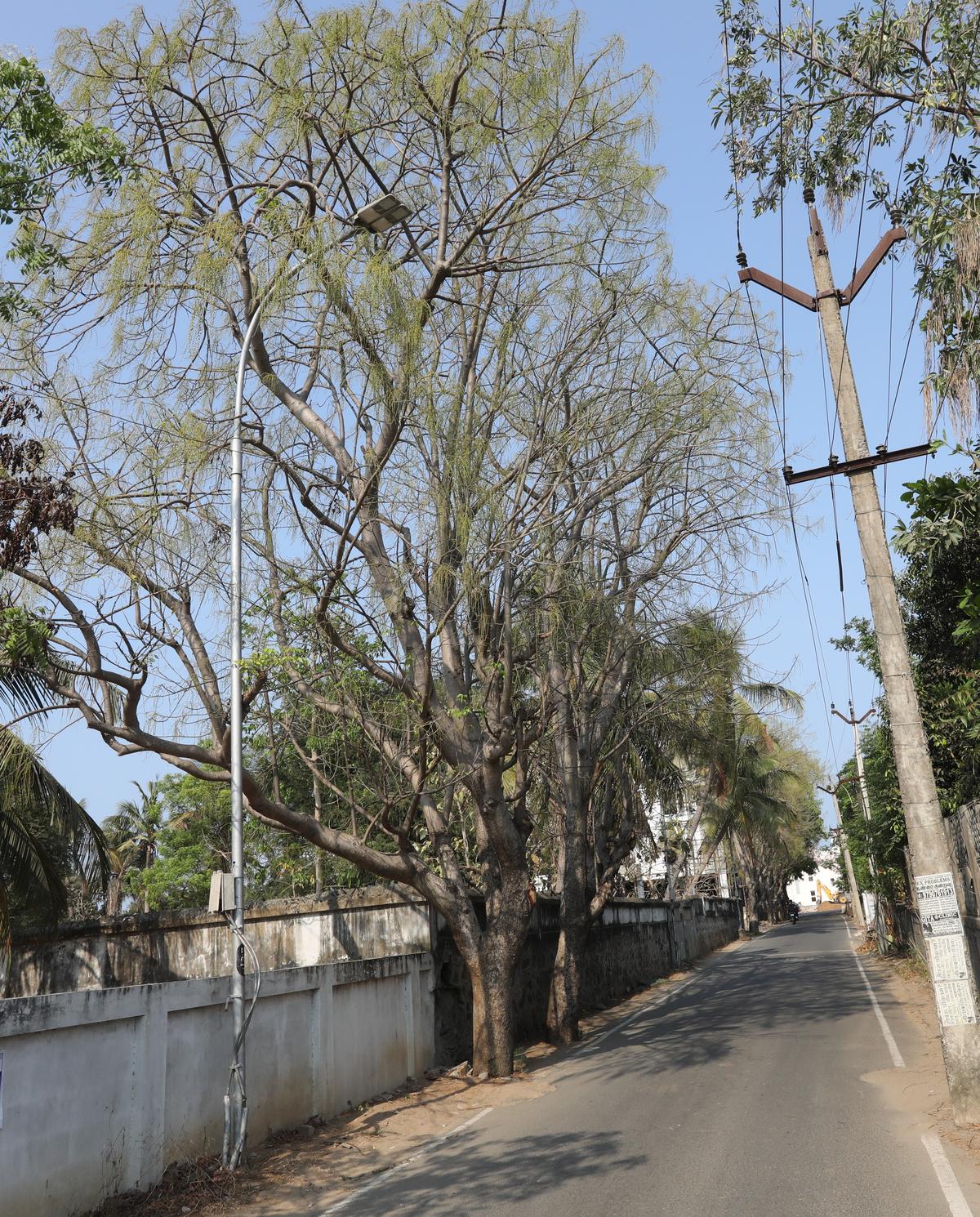 Preserving the past, only effecting a minor tweak - The Hindu