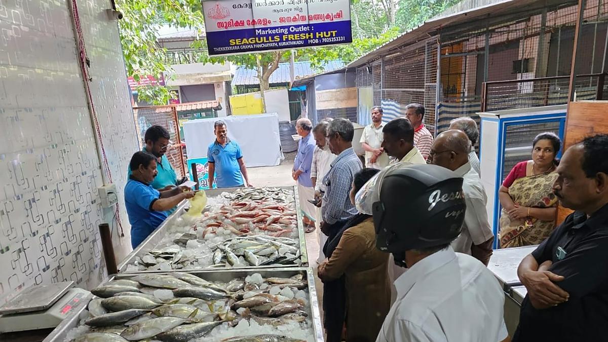 Live fish marketing outlet at Thekkekara a big hit - The Hindu