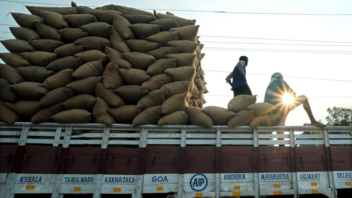 Steps to speed up paddy harvest, procurement - The Hindu