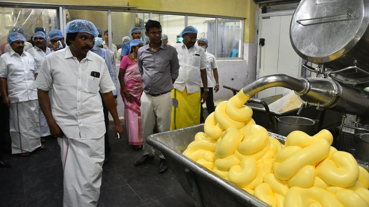Aavin to improve processing capacity to 70 lakh litres per day: Dairy ...