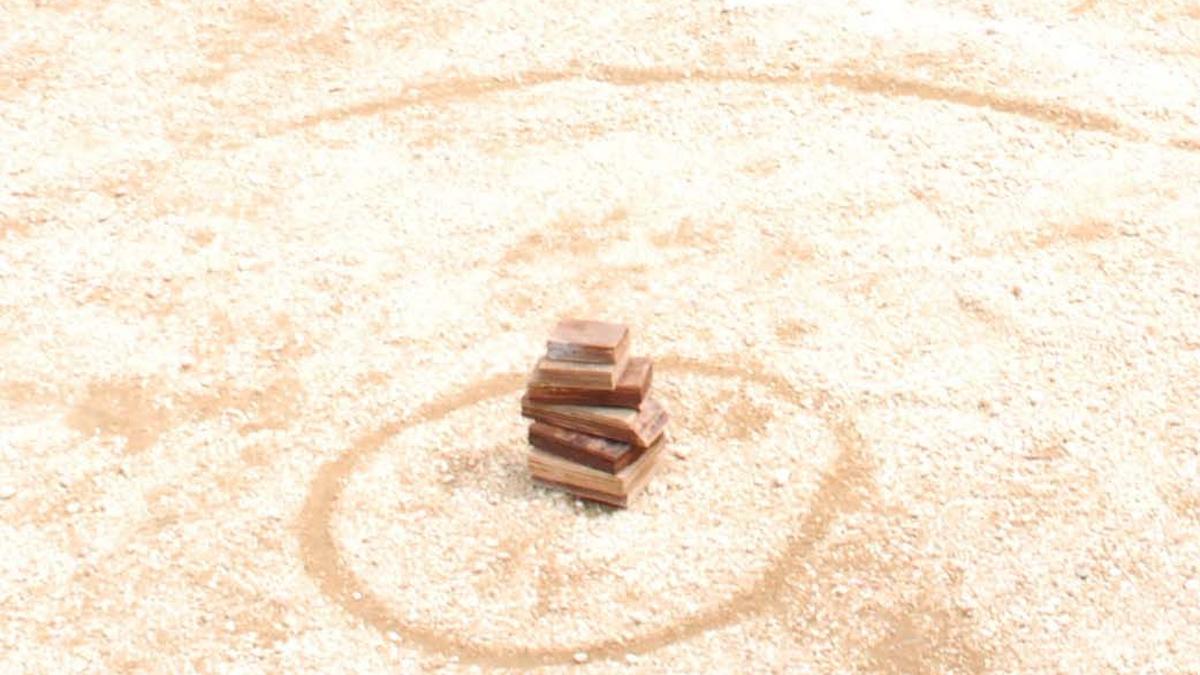 Playing pitthu - The Hindu