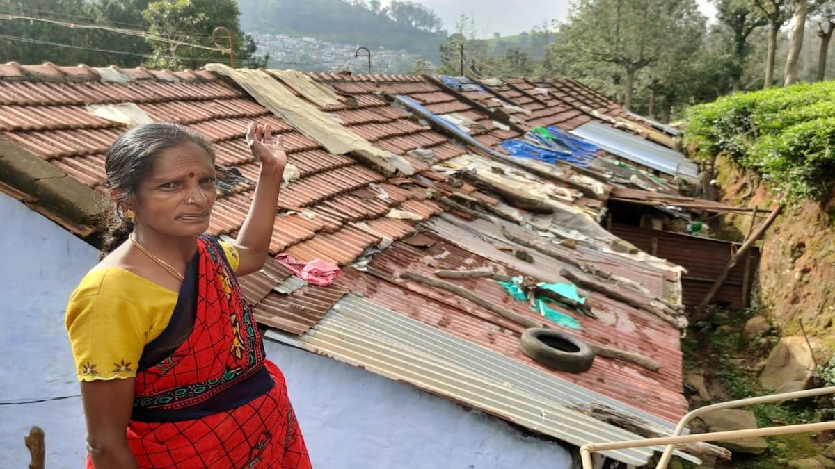TANTEA workers in Nilgiris demand better housing, basic facilities ...