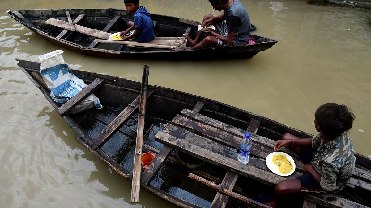 Assam floods | Keeping head above water in Silchar - The Hindu