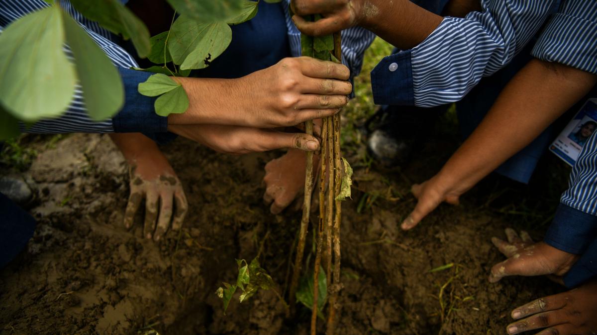 U.P. Government to expand green cover with ‘one-tap-one-tree’ campaign ...