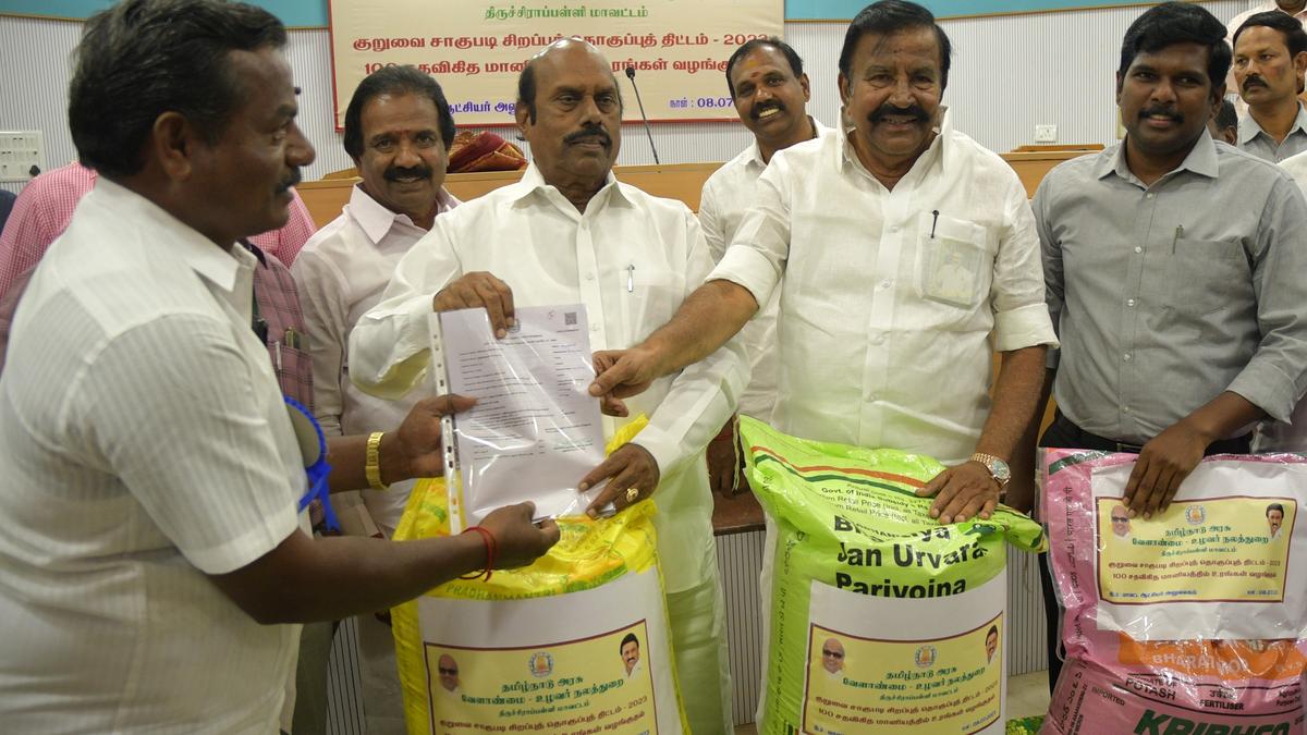 Distribution of kuruvai package begins in Tiruchi district - The Hindu