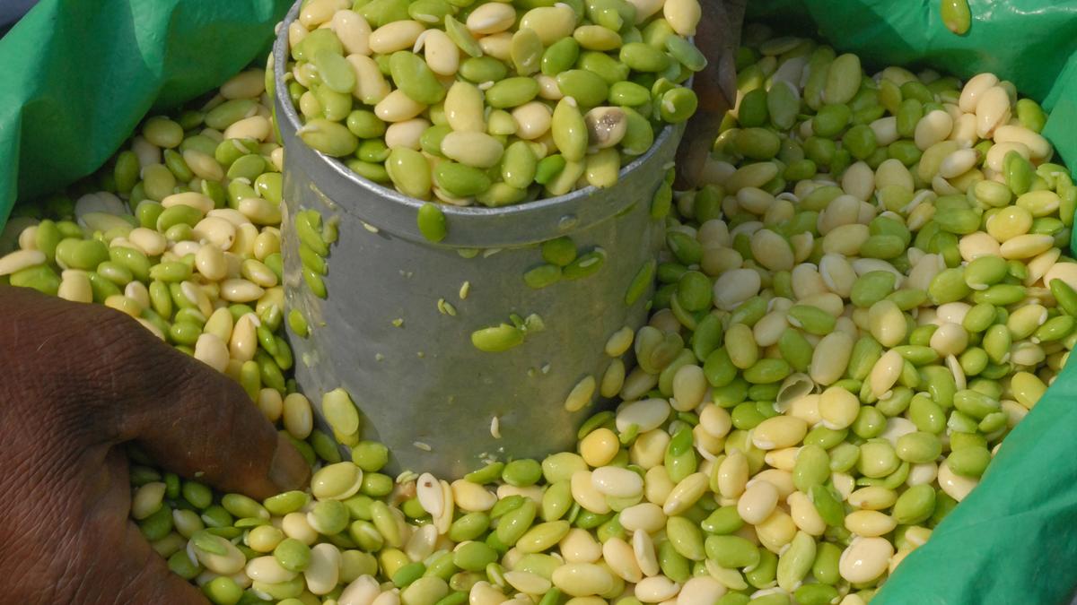 Avarebele mela at National College grounds from January 5 to 9 - The Hindu